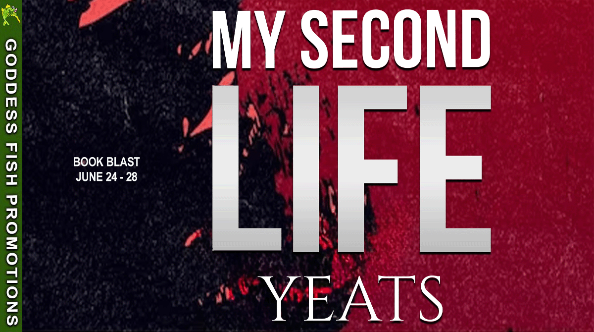 My Second Life – D.S.Dehel